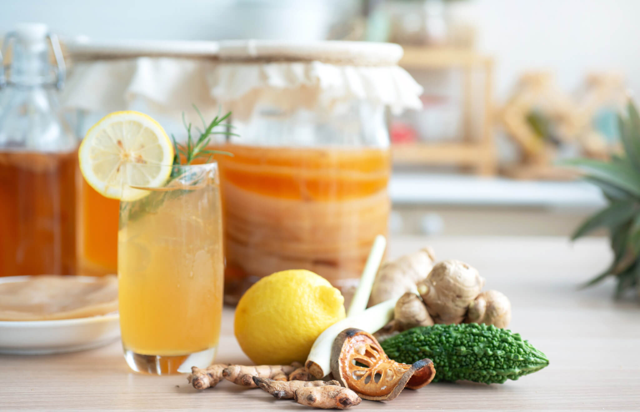 Gut microbiome & fermentation - BUCHINGER WILHELMI